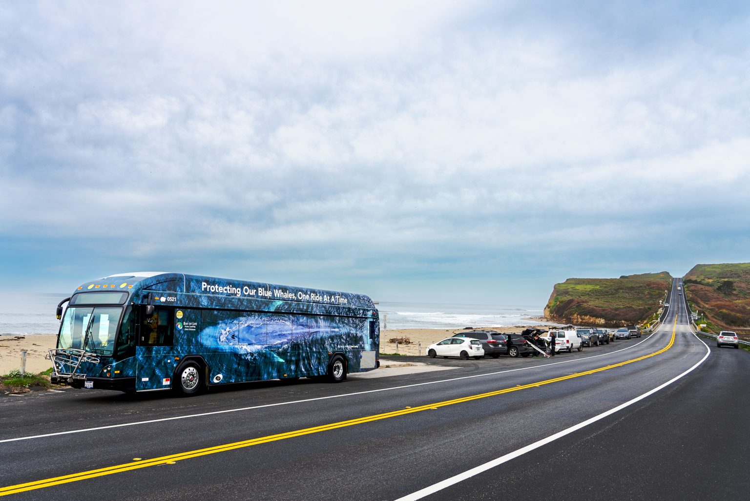 Routes & schedules – SC Metro